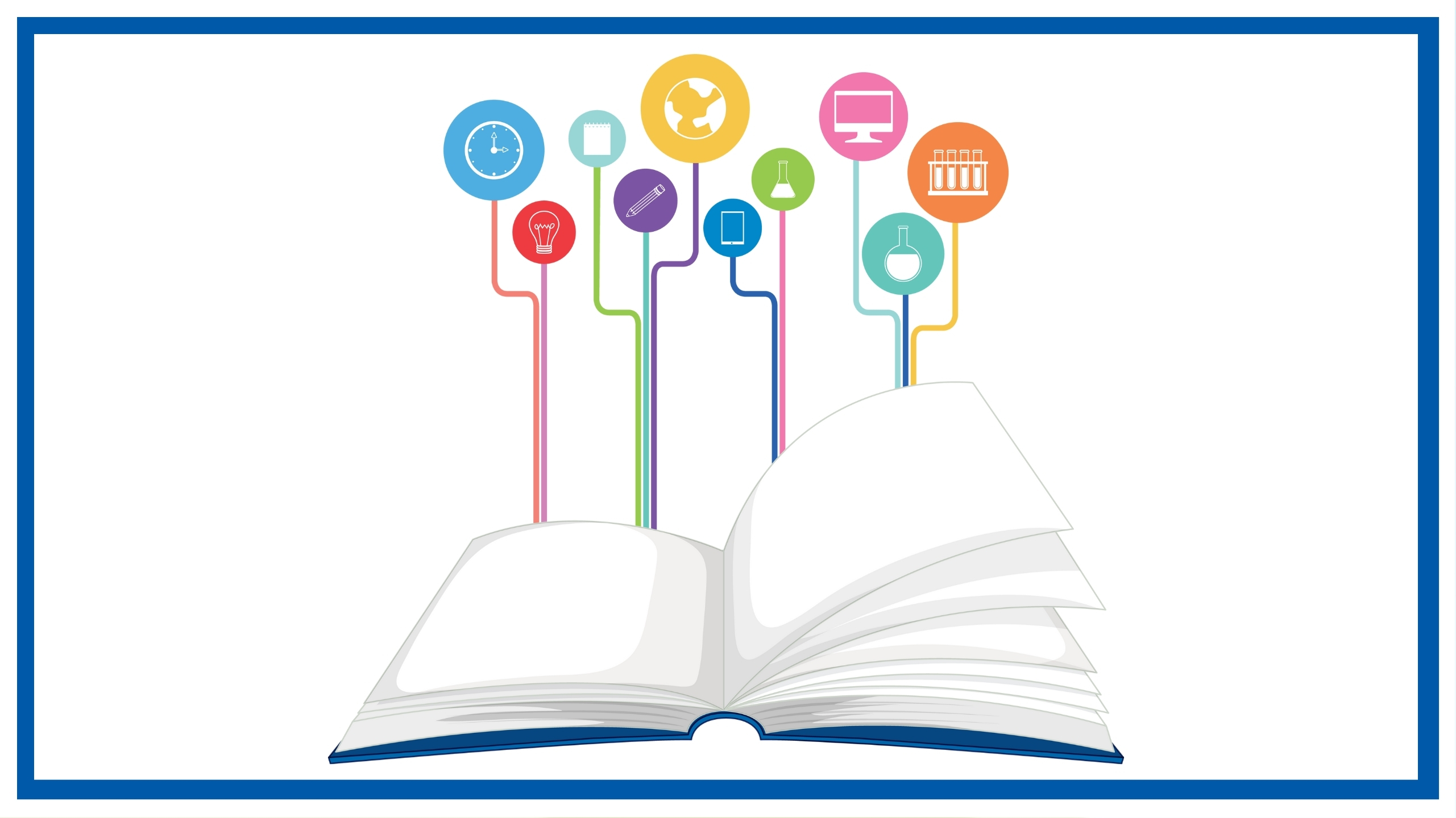 Primary Curriculum Connections - Term 3